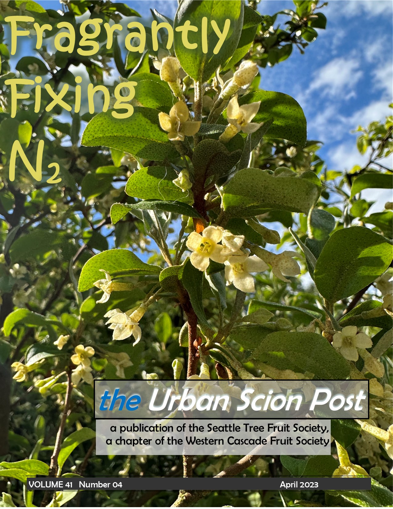Join | Seattle Tree Fruit Society